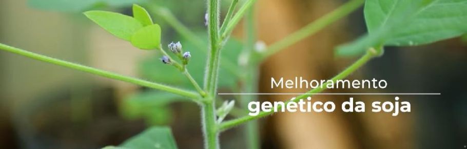 BIOAGRO | Instituto de Biotecnologia Aplicada à Agropecuária